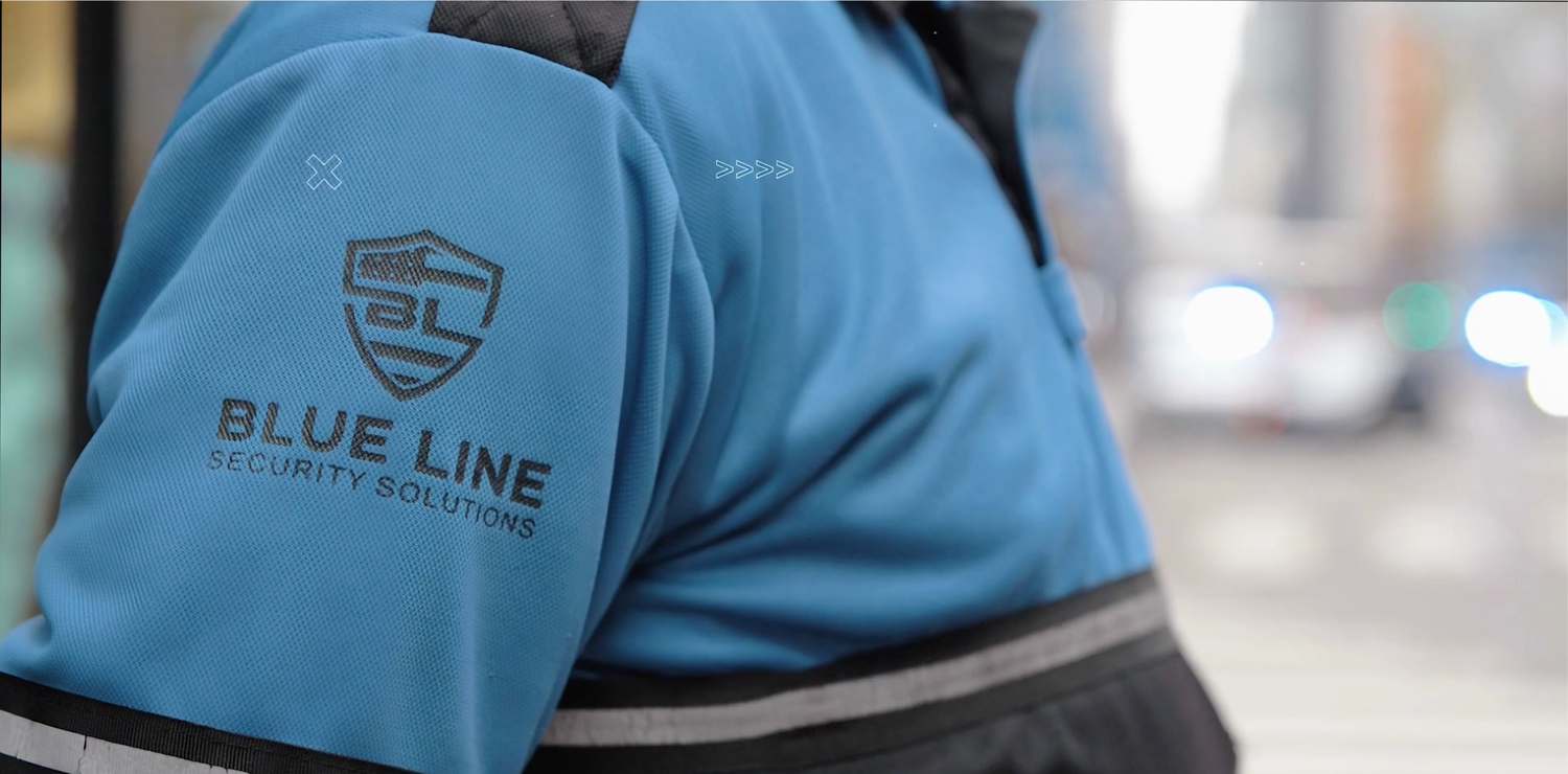 Blue Line Security Solutions LLC