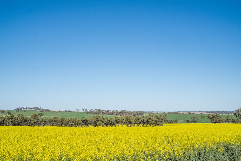 Goomalling Community Resource Centre