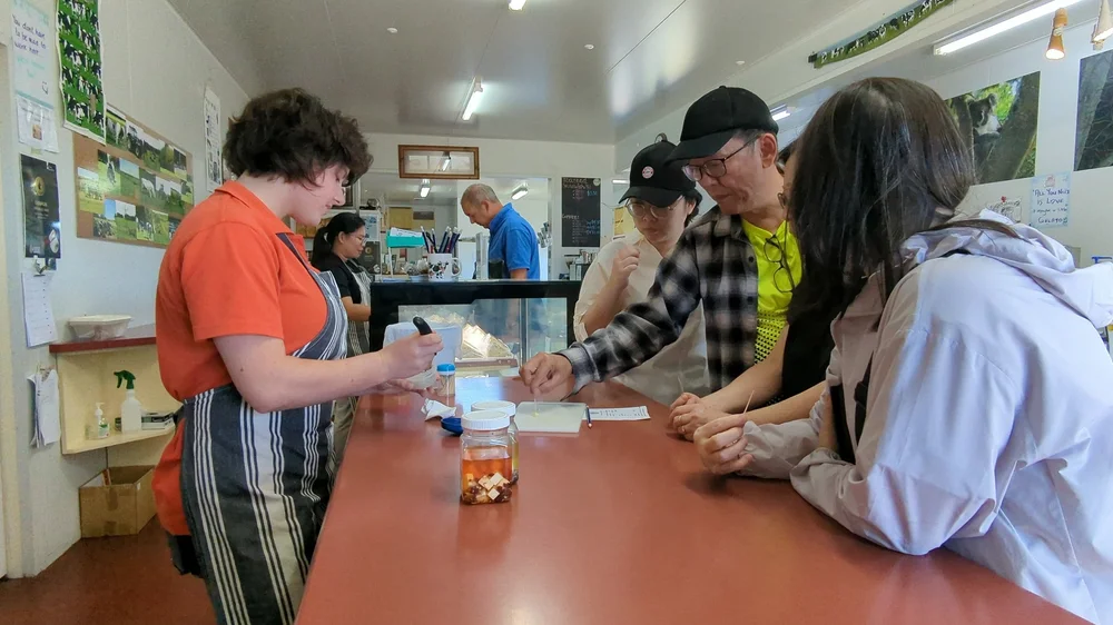 Visit our dairy farmgate café + Timboon cheese tasting | cows milked ...
