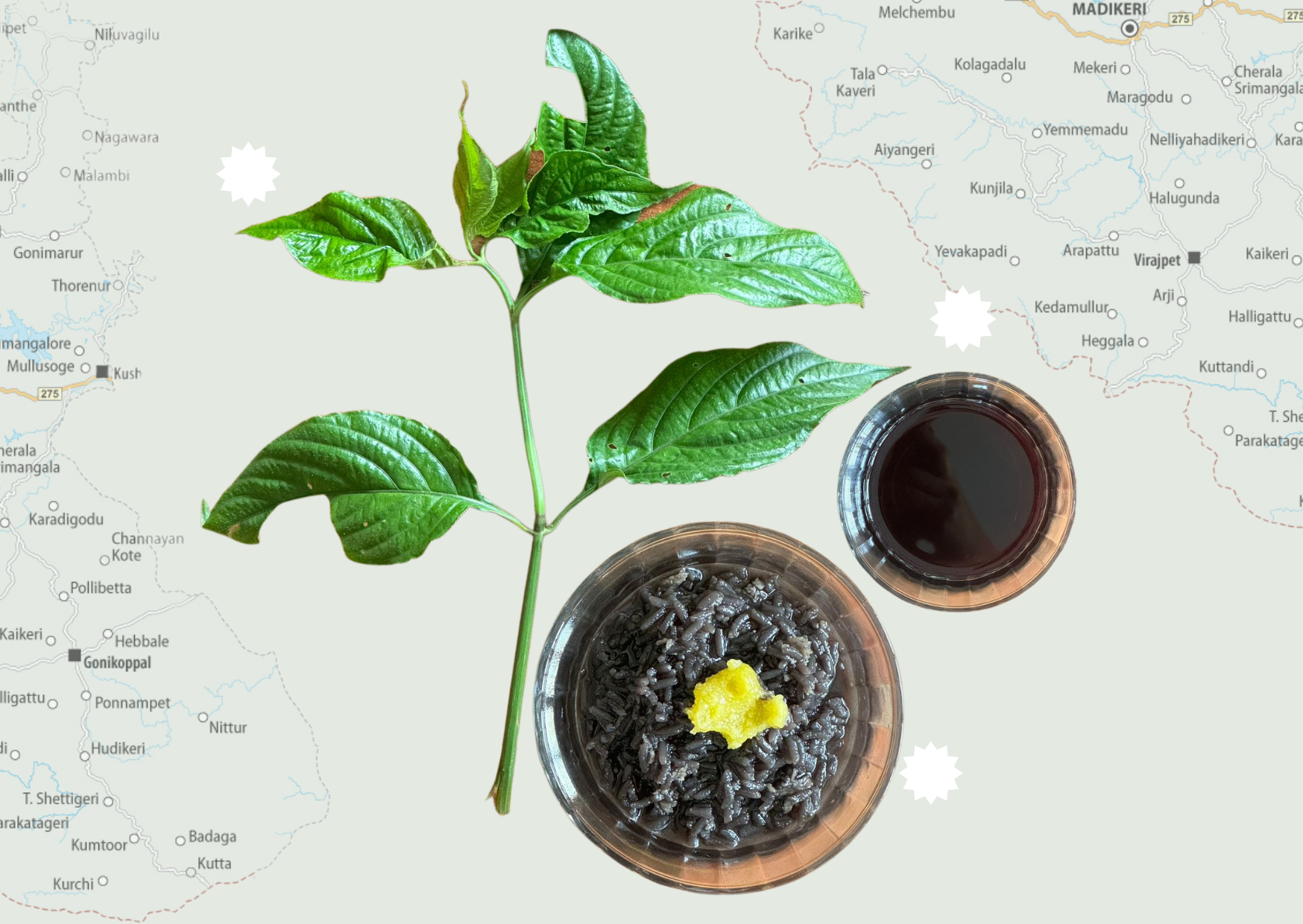 Madh Thoppu: Coorg’s Tradition of Health and Heritage — The Kindness Meal