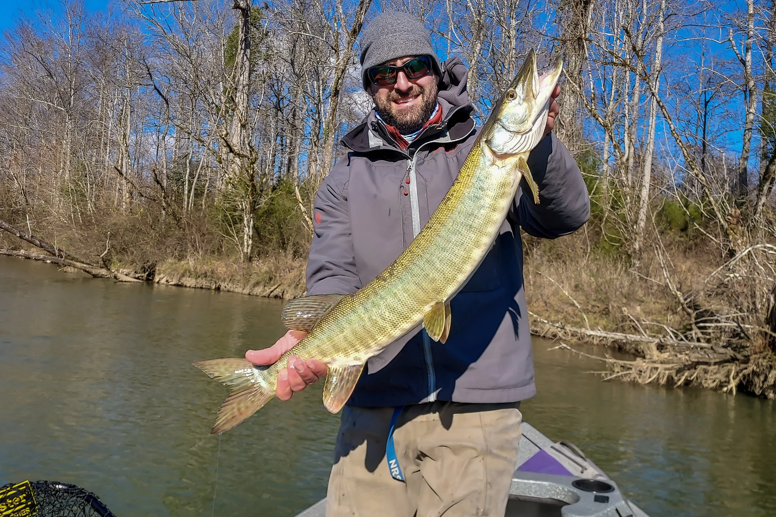 Ellis Ward Guide Service