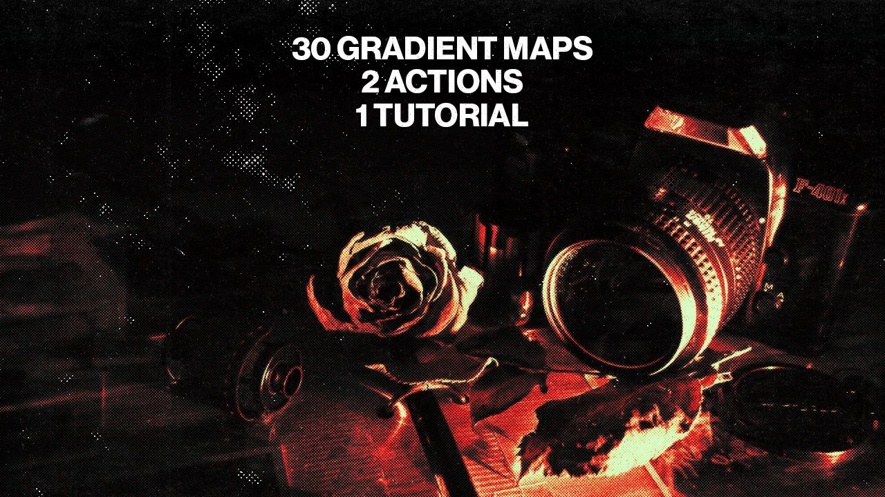 STORE — Austin Dingess