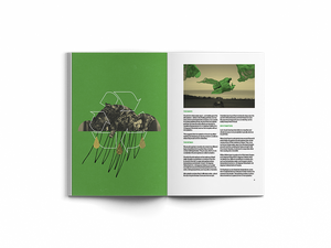 Editorial Illustrations — Austin Dingess