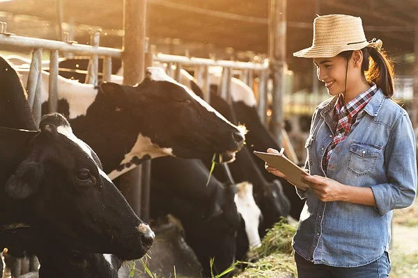 Sustainability — Direct Milk