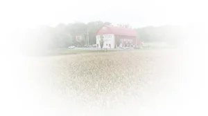 botanerybarn