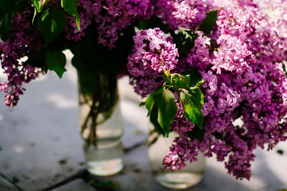 Gallery — Hopespring Family Services