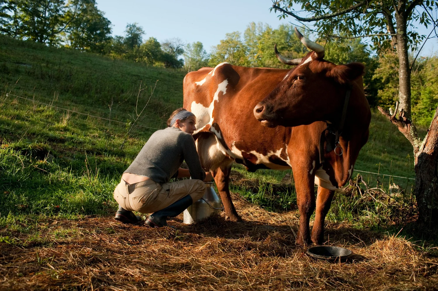 STAY — Stony Creek Farmstead