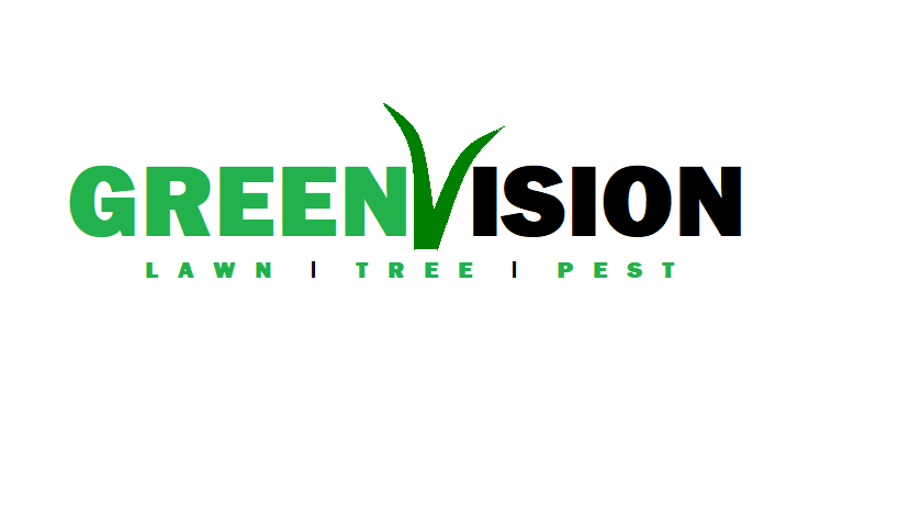 Contact 1 — greenvisioncs.com