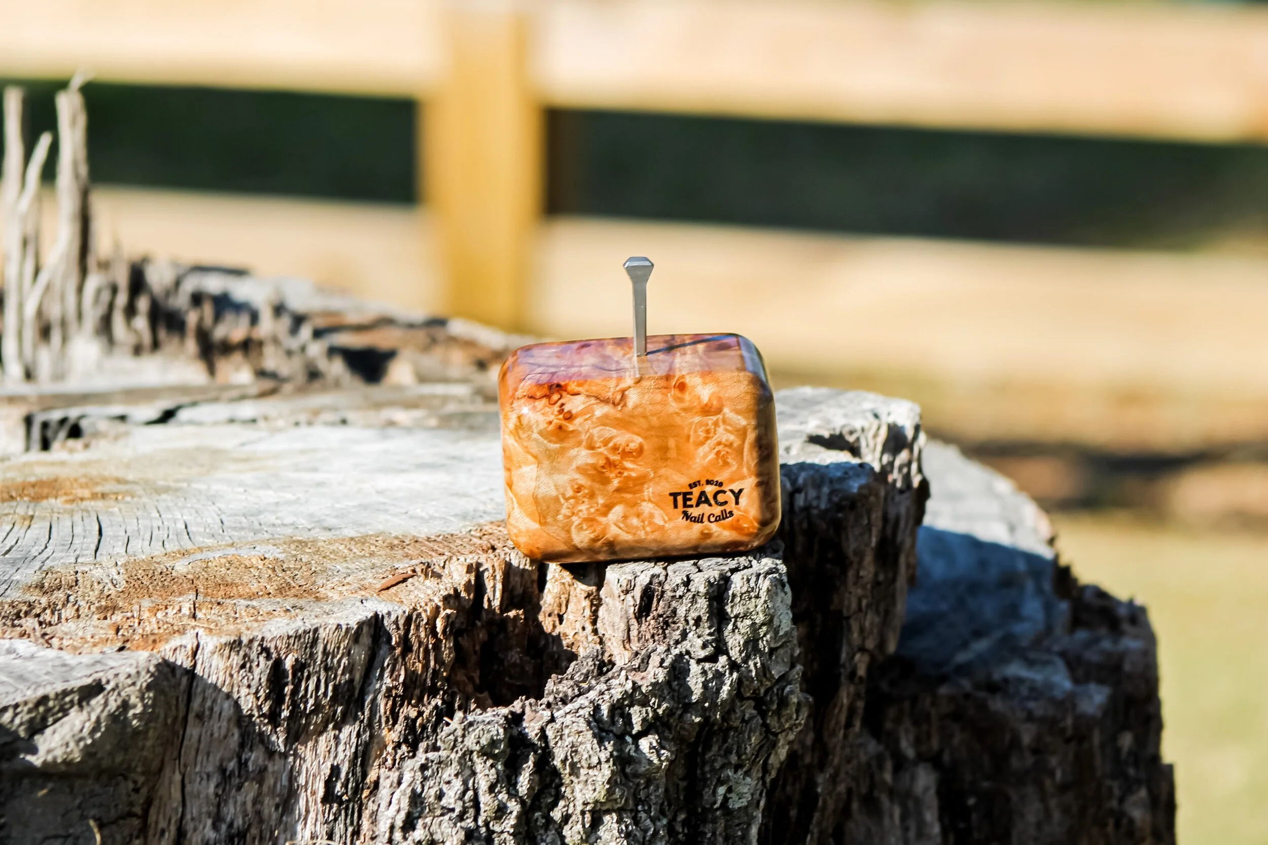 View Our Calls — Teacy Nail Calls