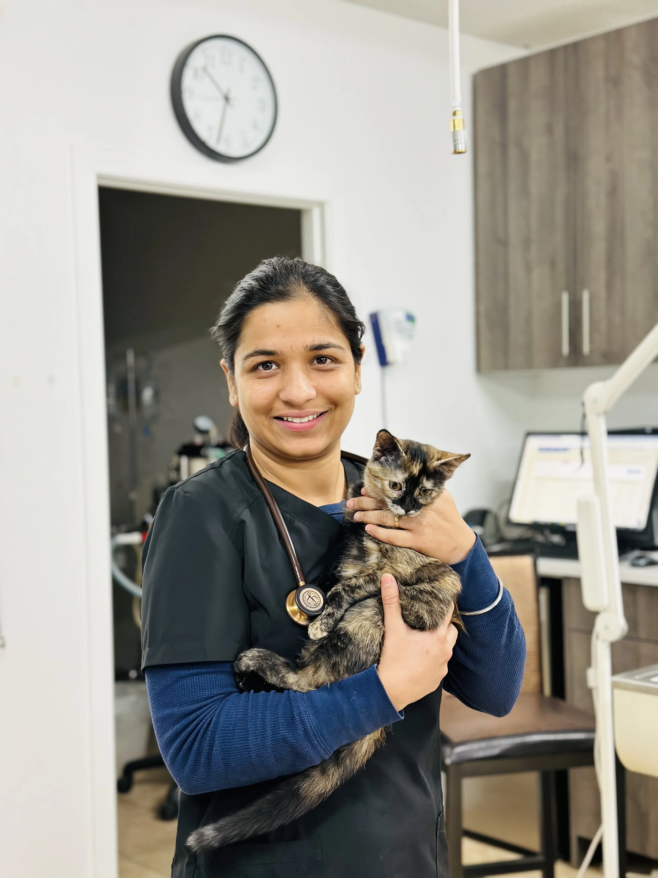 Team 1 — Douglas Square Pet Clinic