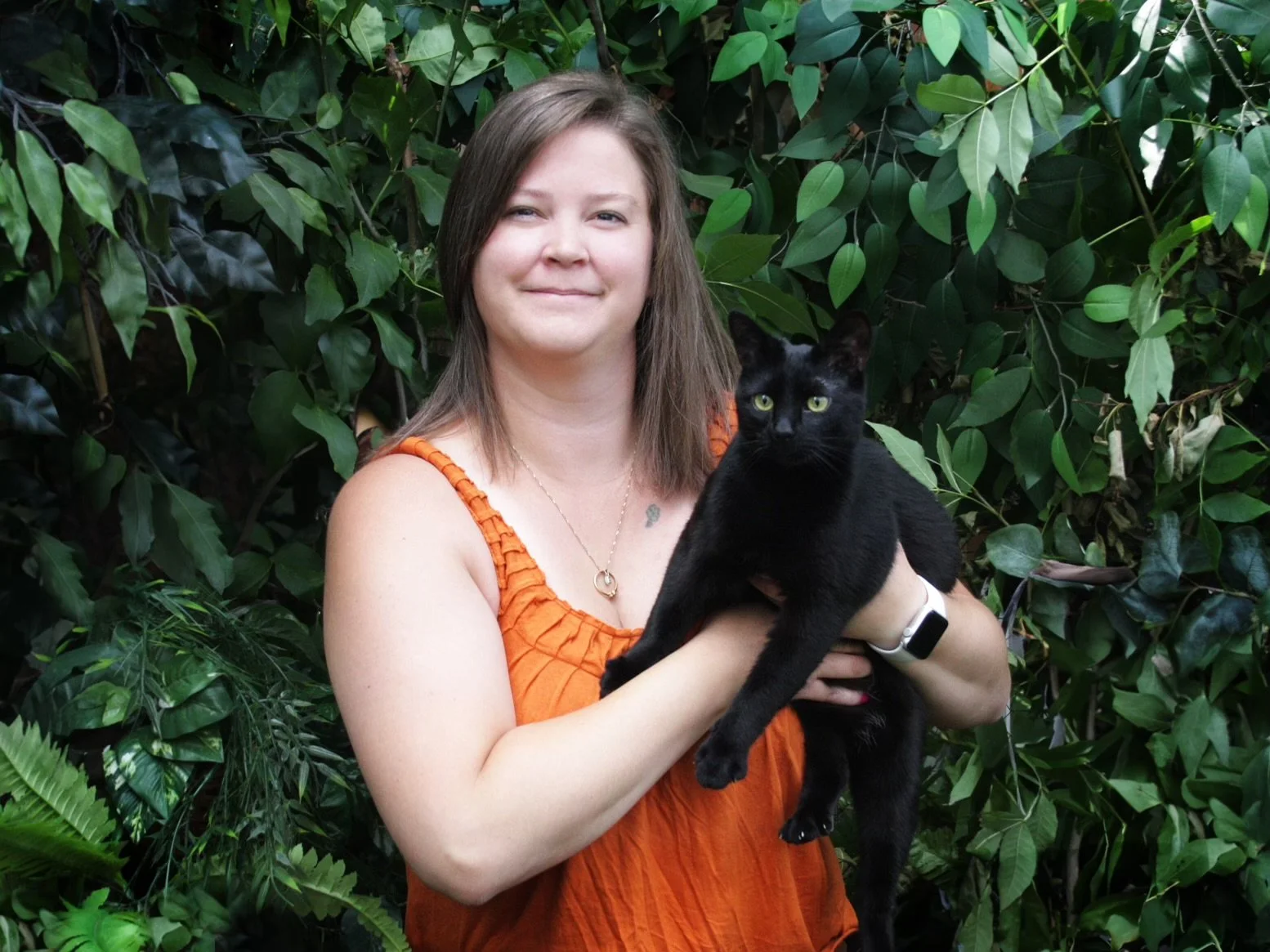 Team 1 — Douglas Square Pet Clinic