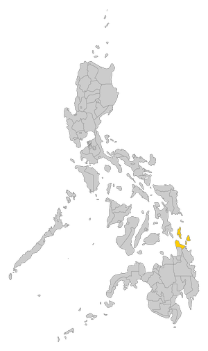 Surigaonon — Wycliffe Philippines