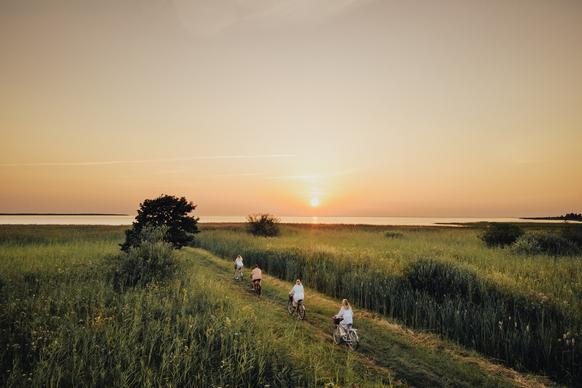 Visit Muhu — Discover Timeless Charm on Muhu Island: A Baltic Gem
