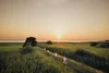 Visit Muhu — Discover Timeless Charm on Muhu Island: A Baltic Gem