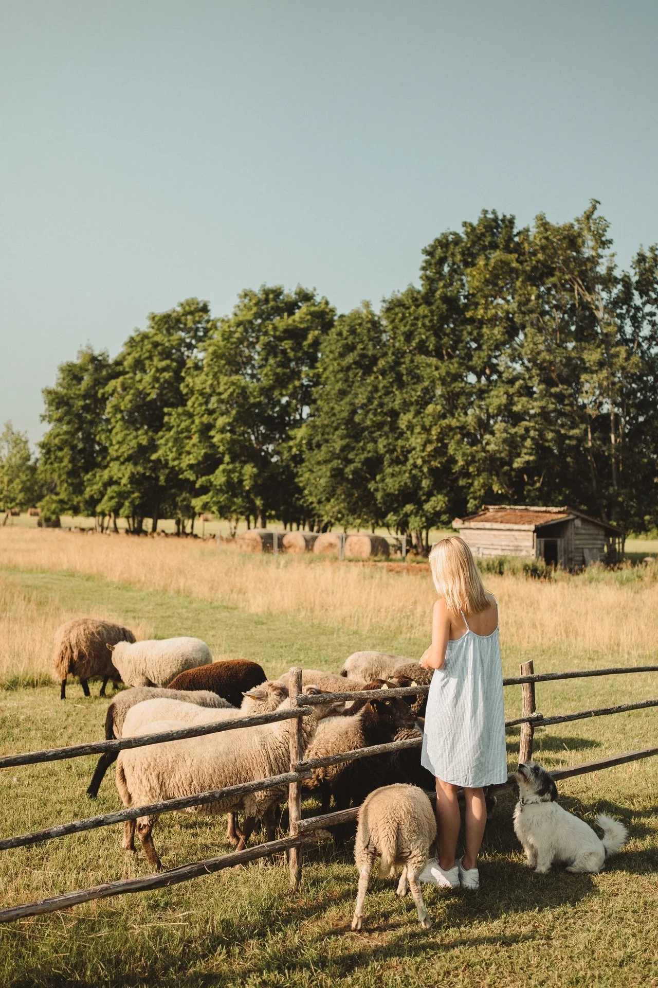 Visit Muhu — Discover Timeless Charm on Muhu Island: A Baltic Gem