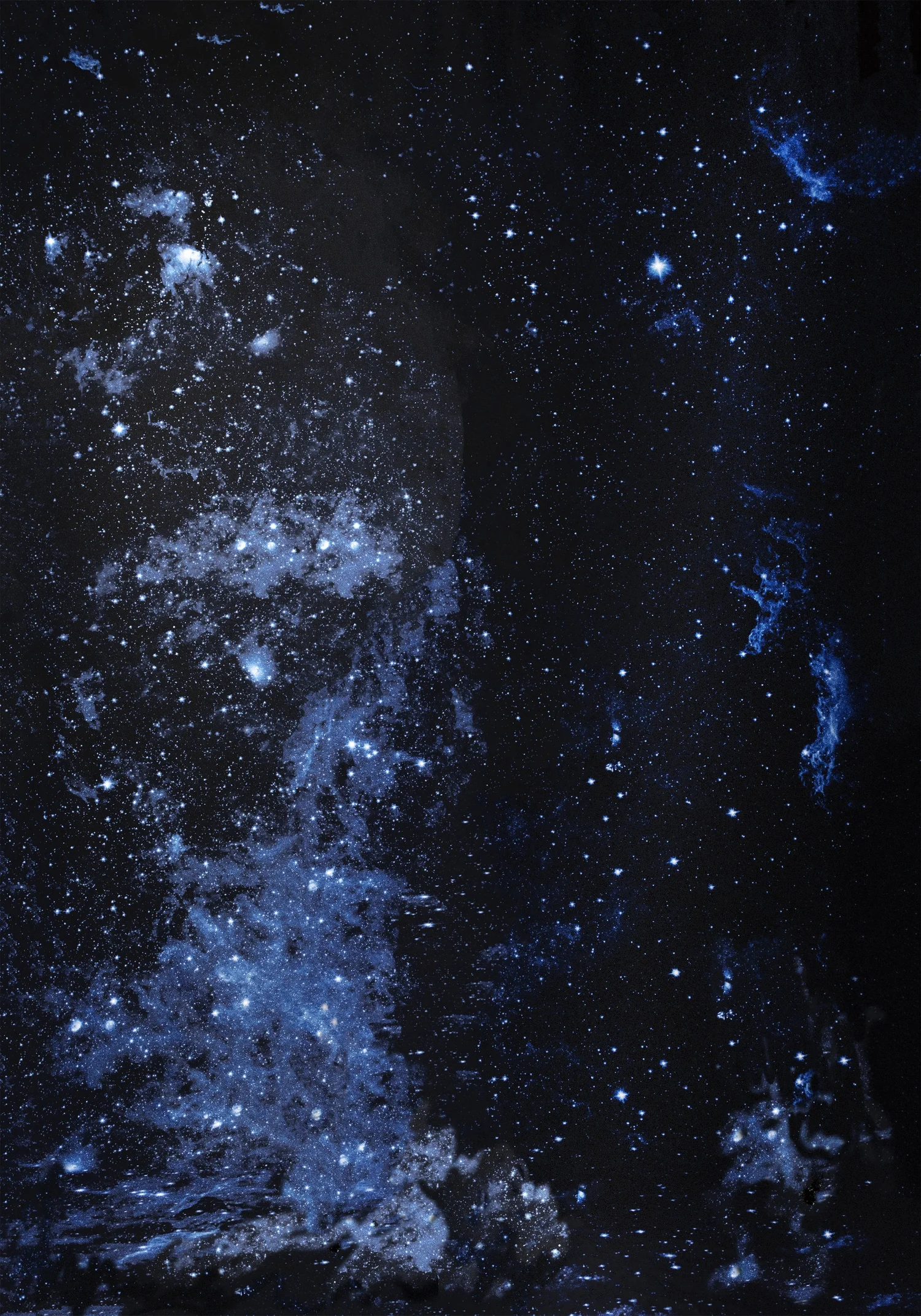 Tony Bauer