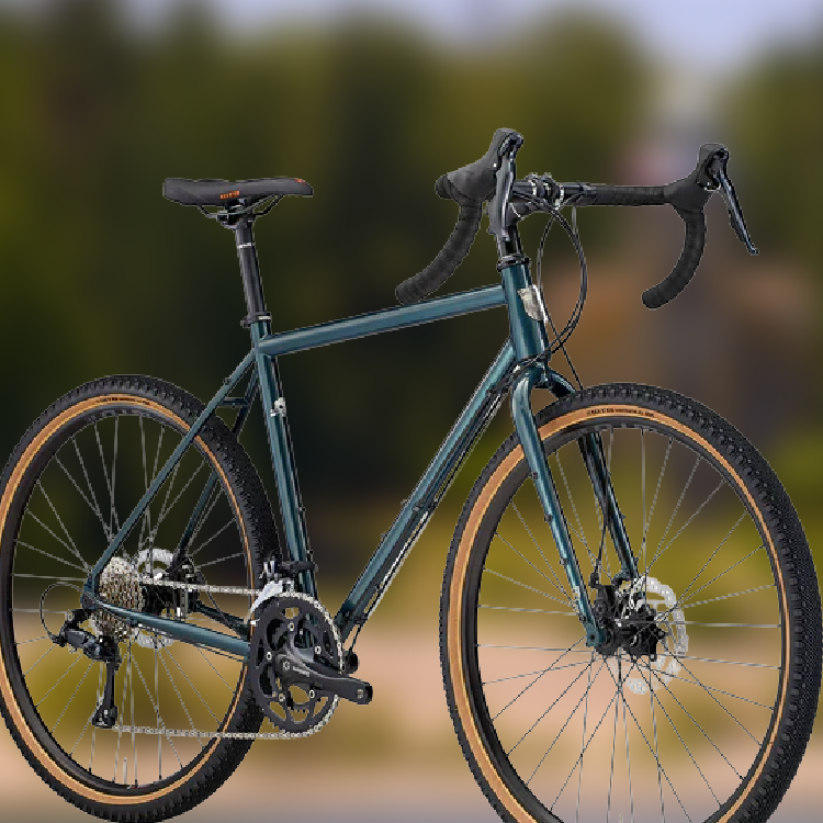 Cosmic Bikes / Chicago source for Brompton, Recumbents and Alternative ...