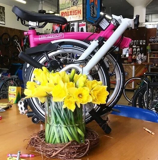 Brompton — Cosmic Bikes