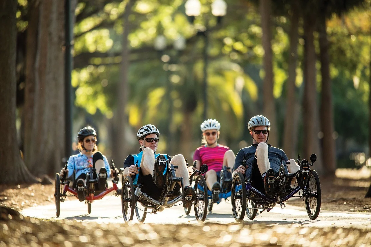 Recumbent glossary — Cosmic Bikes