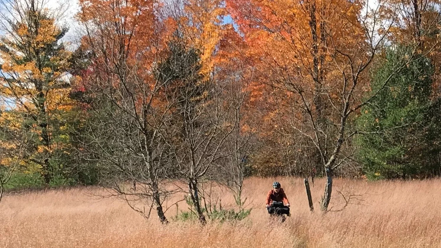 Cosmic Bikes / Chicago source for Brompton, Recumbents and Alternative Transportation