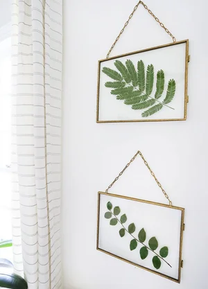 Easy Pressed Plant Art DIY — Sunny Circle Studio