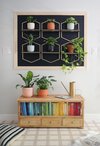 4-Step DIY Mini Plant Wall — Sunny Circle Studio