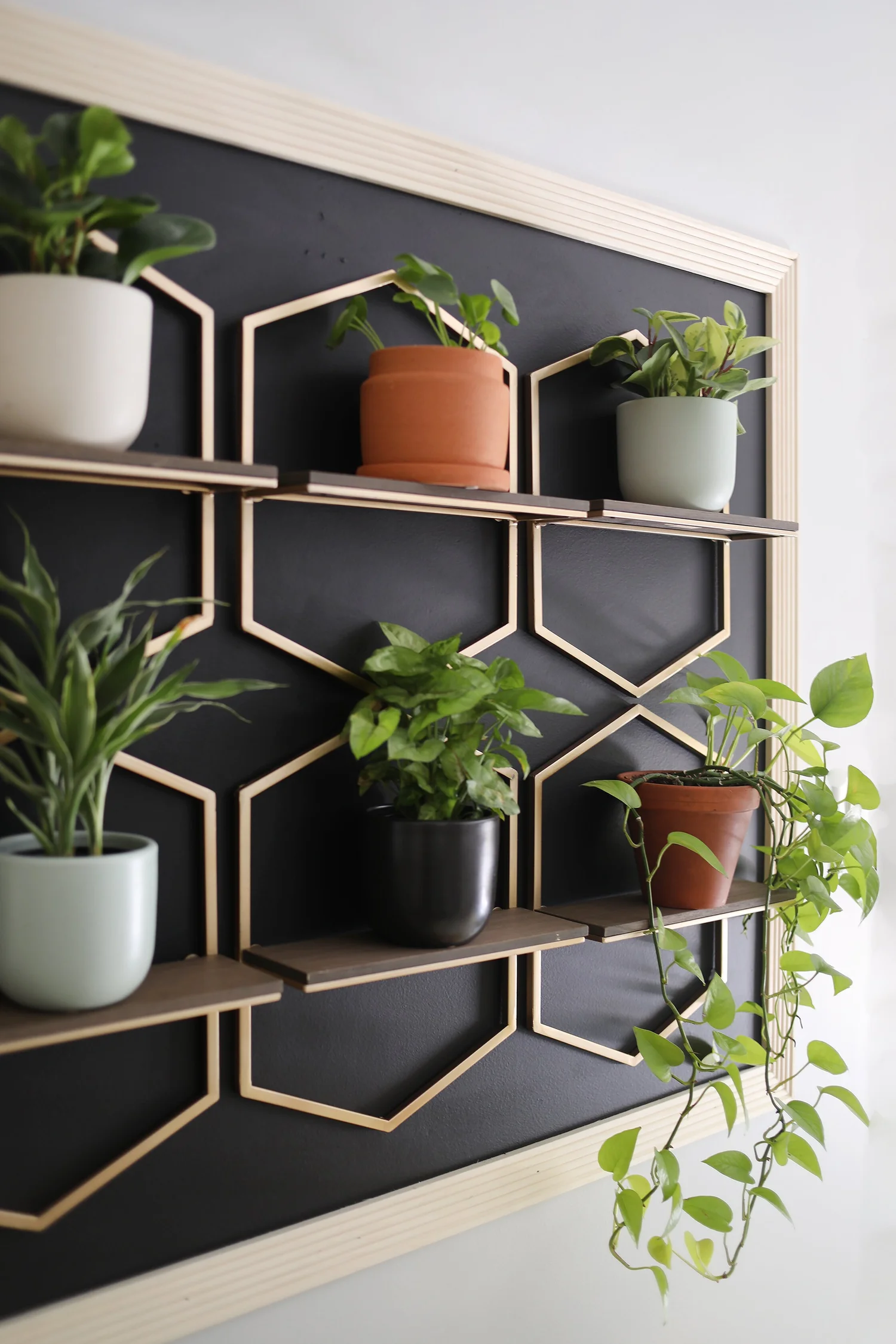4-Step DIY Mini Plant Wall — Sunny Circle Studio