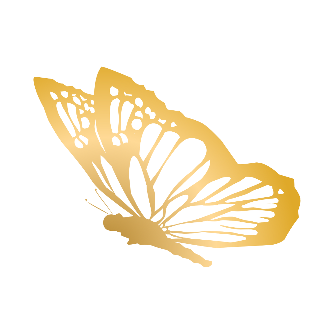 Programs — The Cocoon Collective