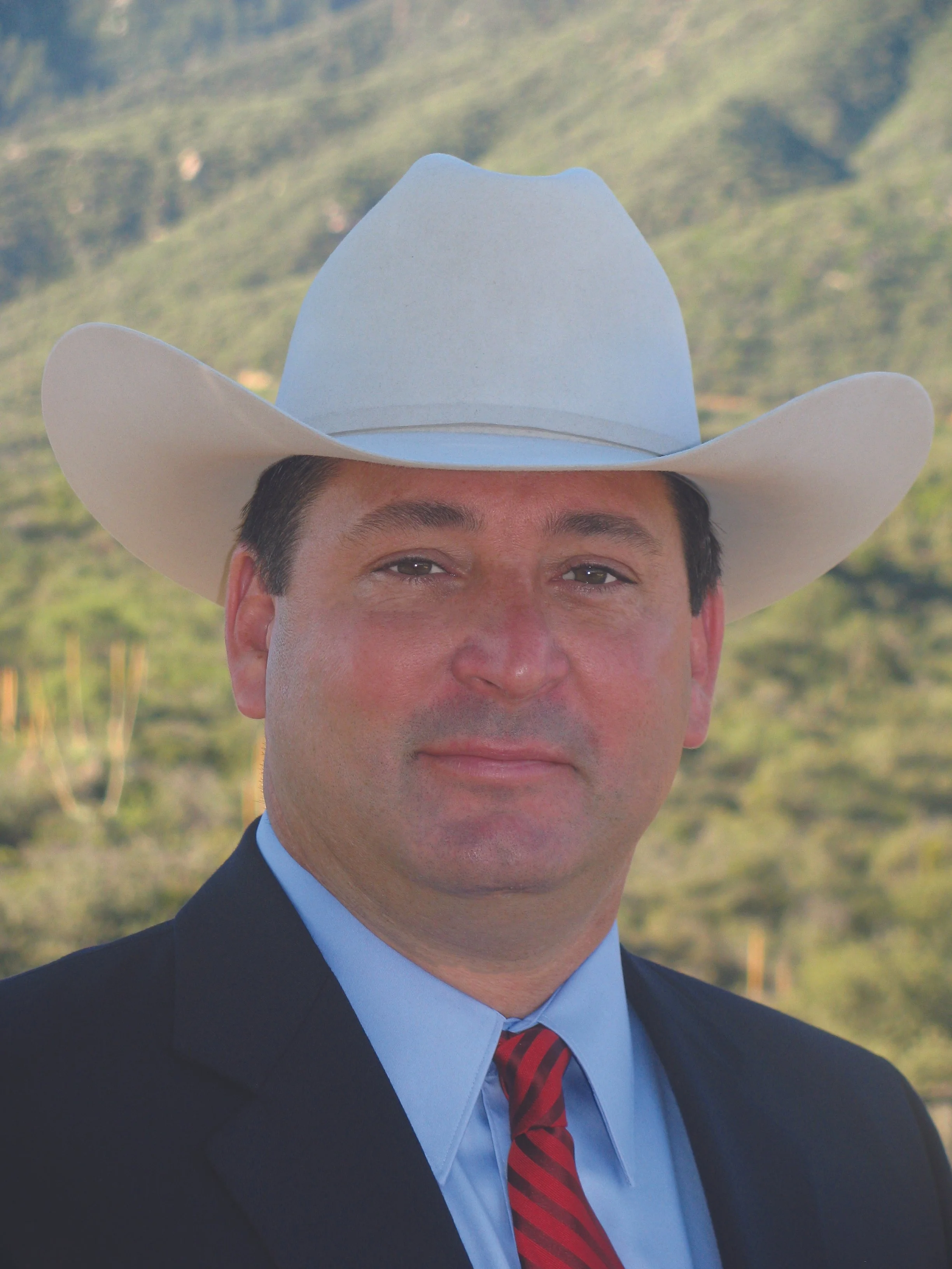 David Cook for Arizona