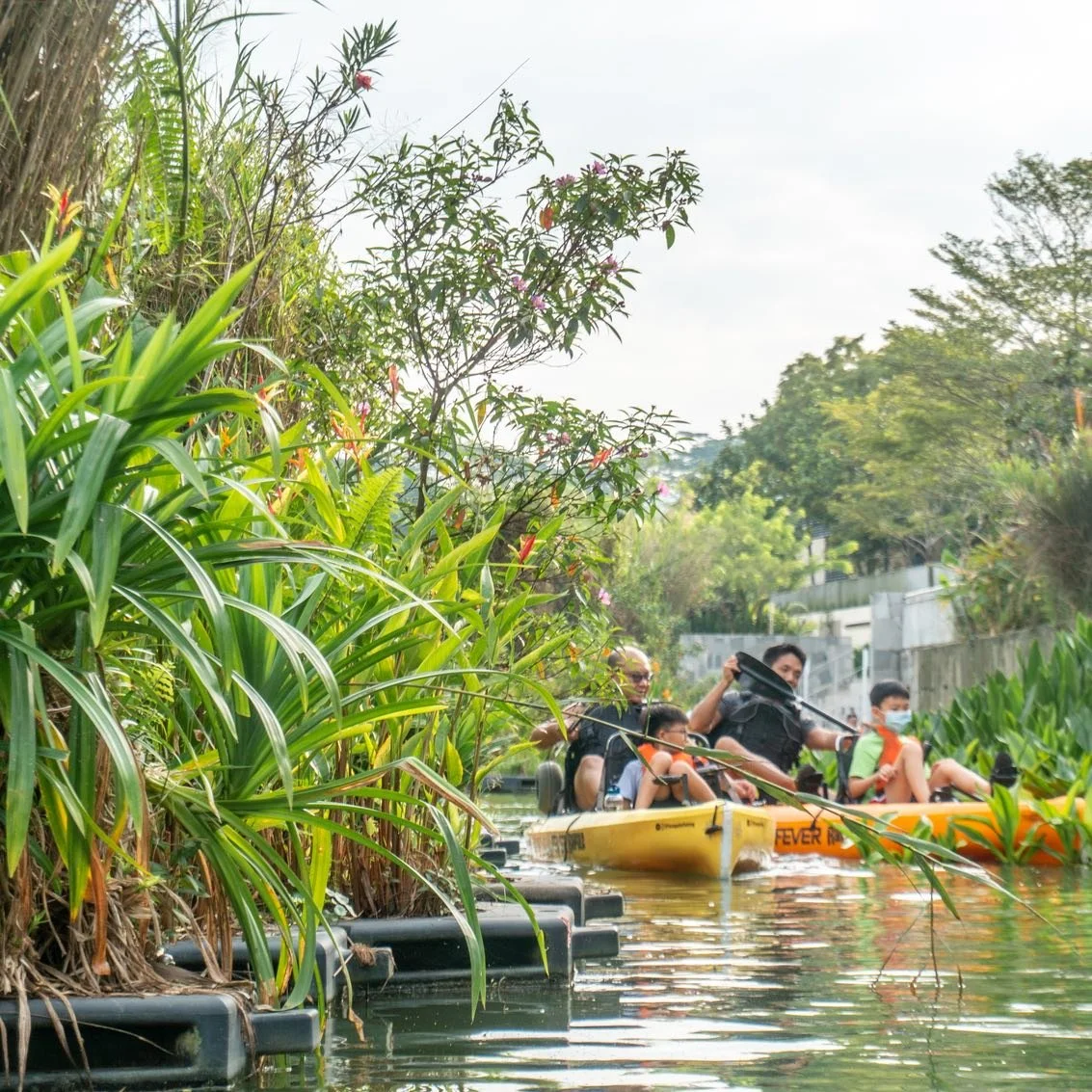 River of Life - Kayak Tour in Punggol Waterway — Fever Kayak Fishing ...