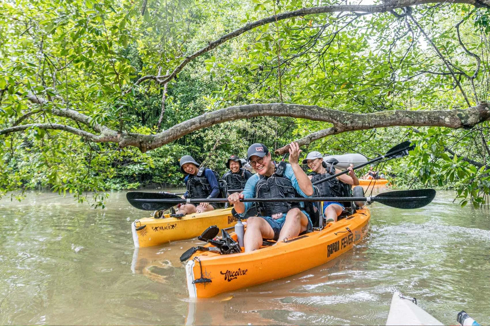 Paddle and Plate - Mangrove and Culinary Adventure — Fever Kayak ...