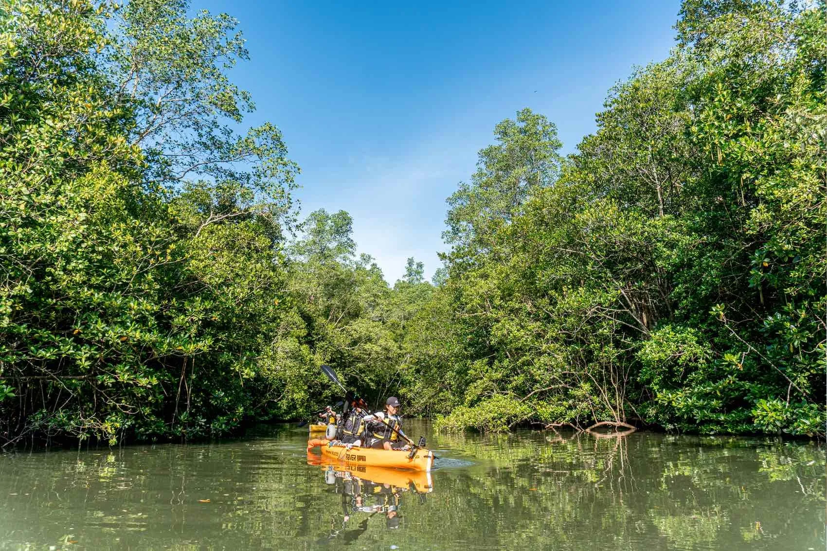 Top Kayak Fishing Spots in Singapore: A Intro to kayak fishing in ...