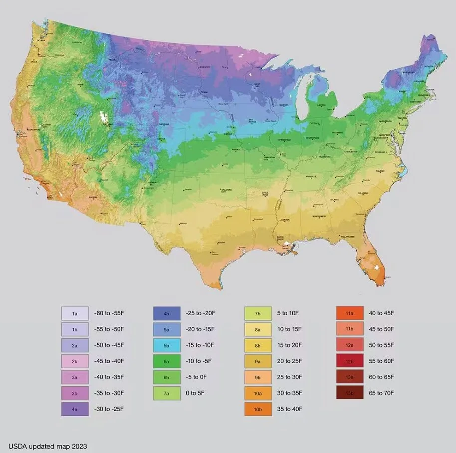 The Tree Hardiness Zone Map: Know Your Zone — B & C Tree Service