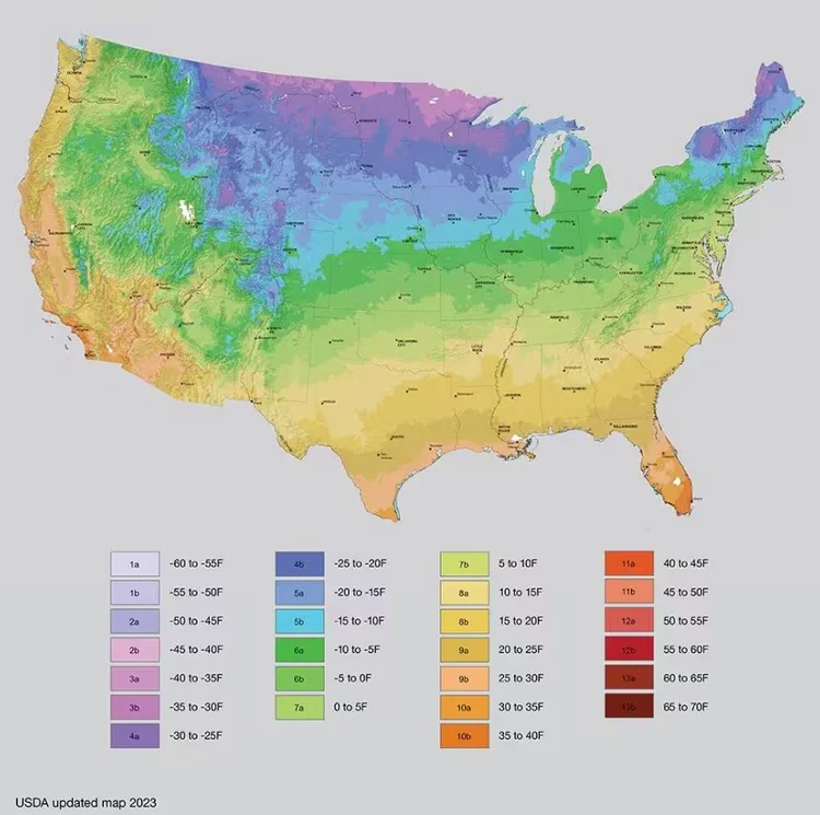 The Tree Hardiness Zone Map: Know Your Zone — B & C Tree Service