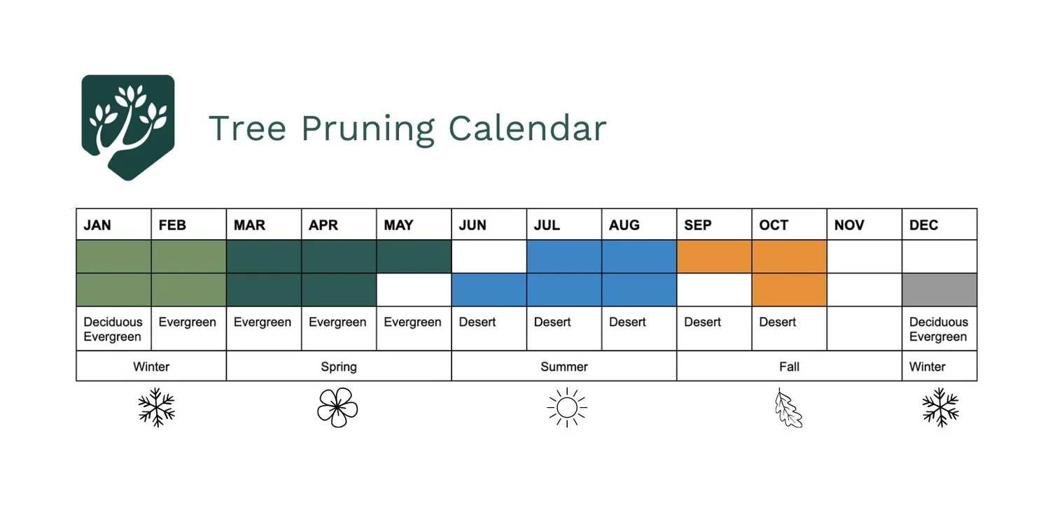 Arizona Tree Pruning Calendar 2024 — B & C Tree Service