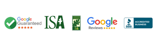 How Trees Adapt to Harsh Environments — B & C Tree Service