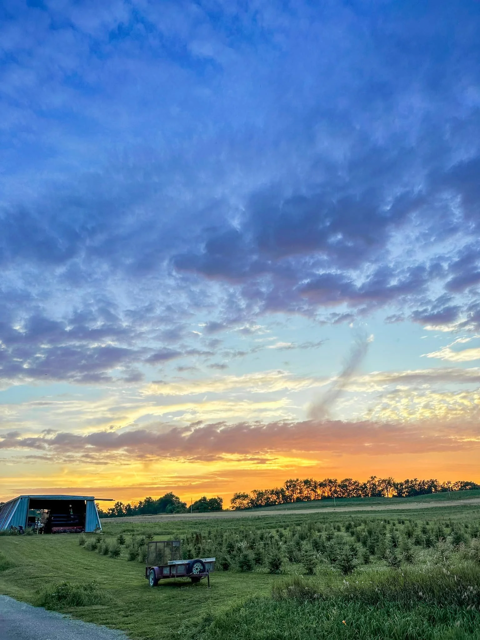 Our Farm | Family Owned & Operated — Muddy Meadows Farm
