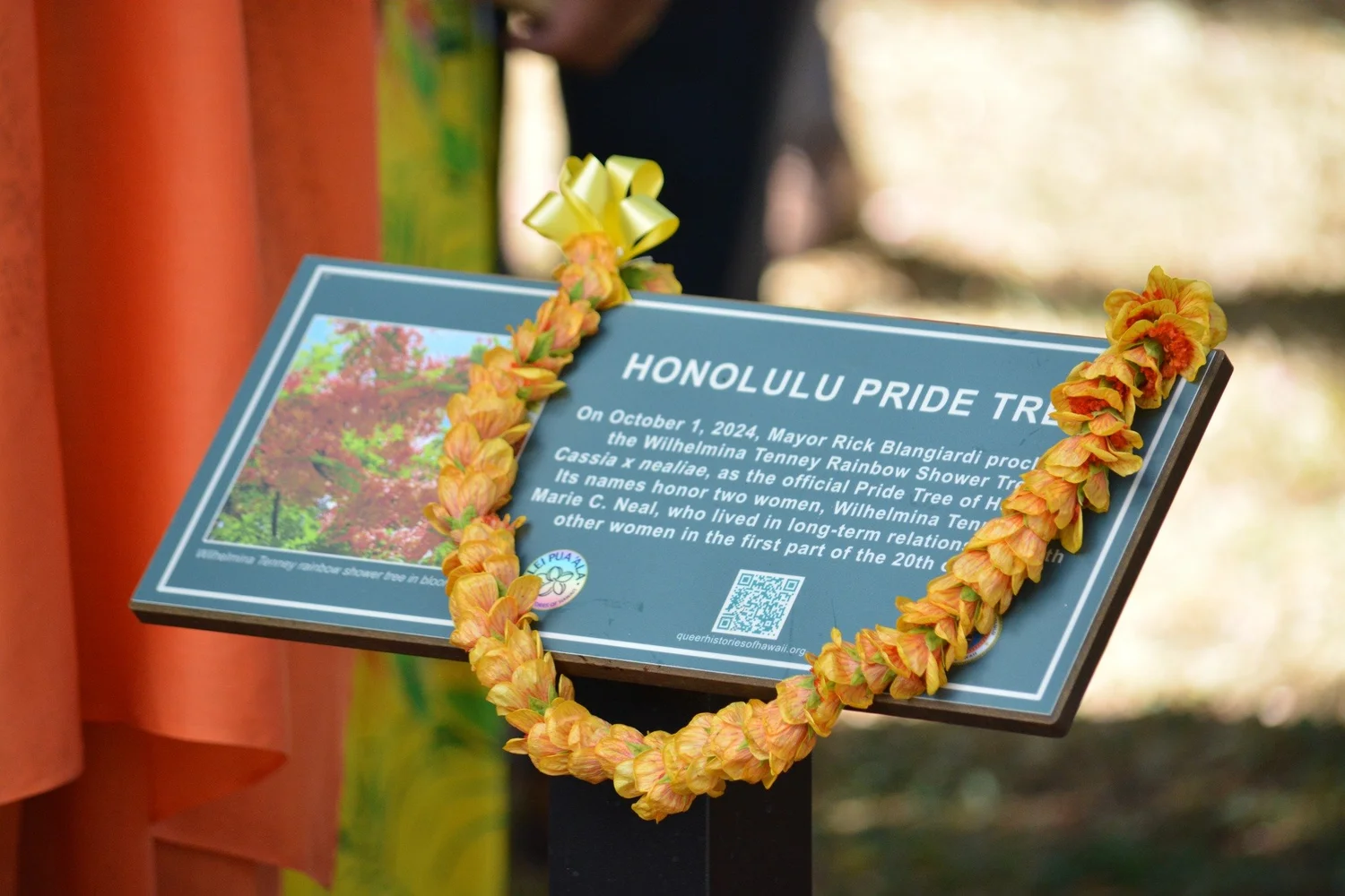 Official Pride Tree of Honolulu — Lei Pua Ala Queer Histories of Hawai ...