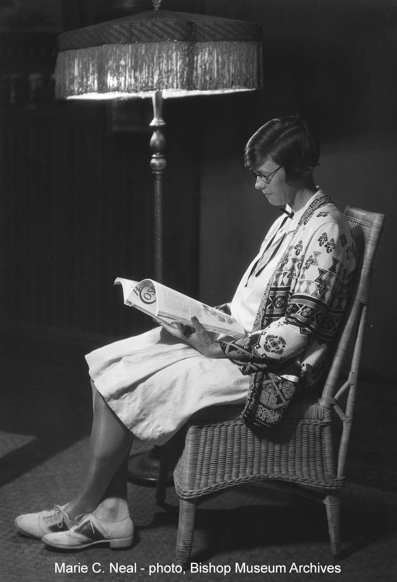 Rainbow Shower Tree — Lei Pua Ala Queer Histories of Hawai'i Project