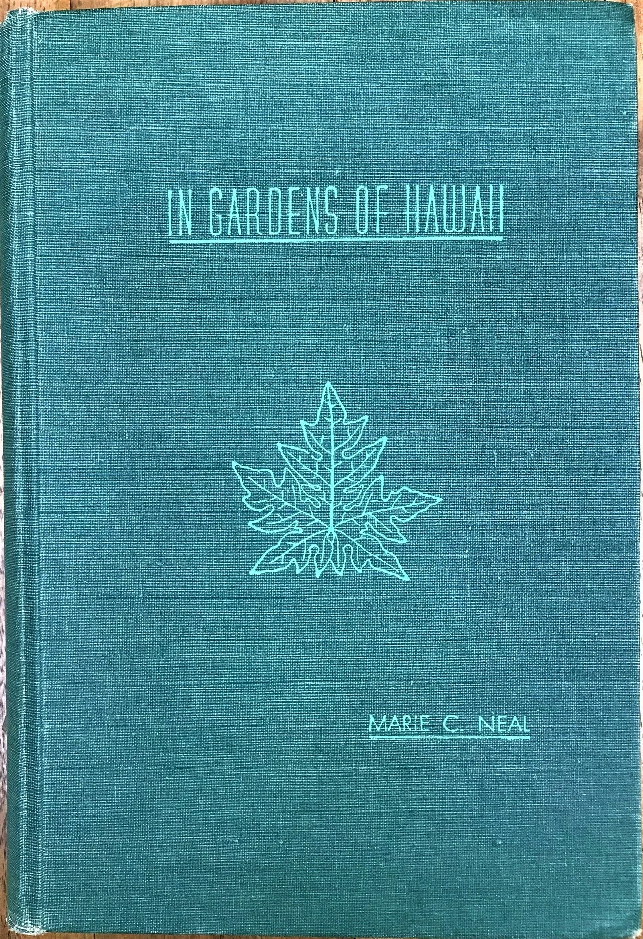 Rainbow Shower Tree — Lei Pua Ala Queer Histories of Hawai'i Project