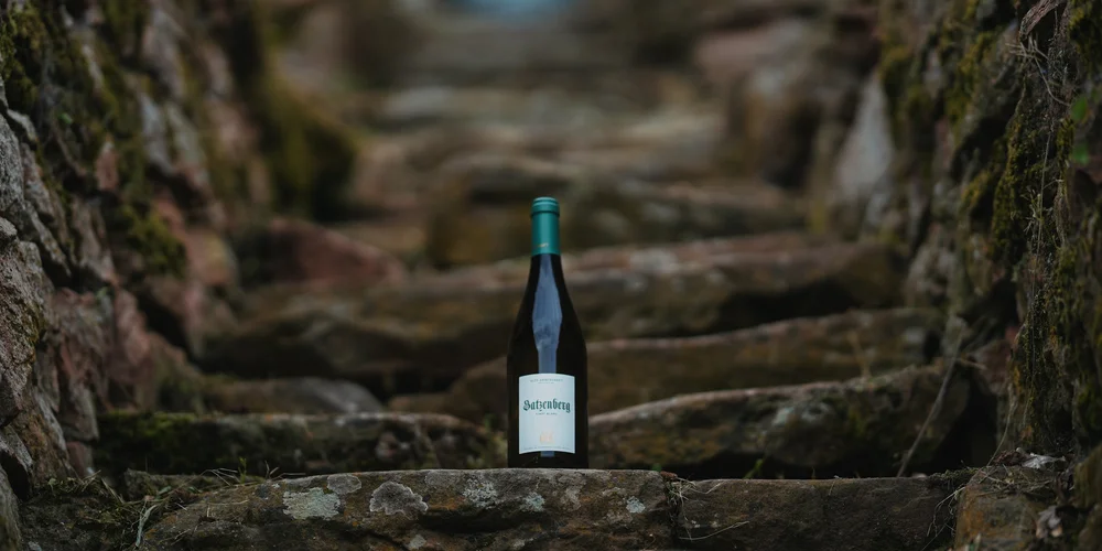 Wines | Jetzt Wein entdecken — Alte Grafschaft