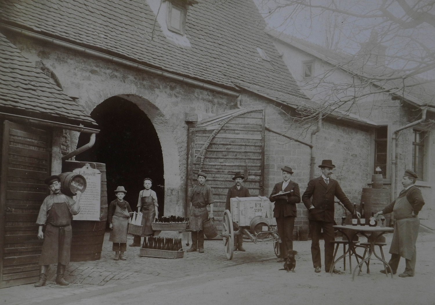Alte Grafschaft – Steillagenweine aus Tauberfranken genießen