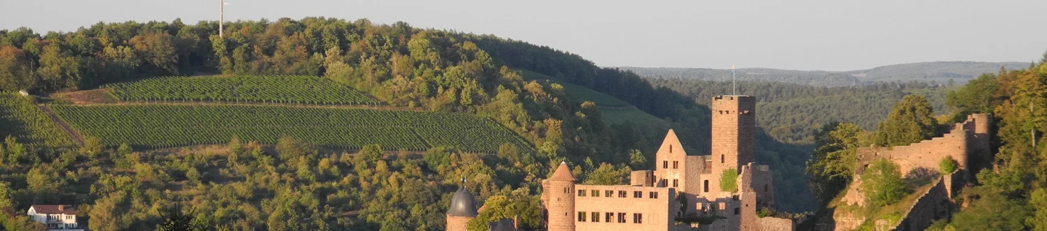 Alte Grafschaft