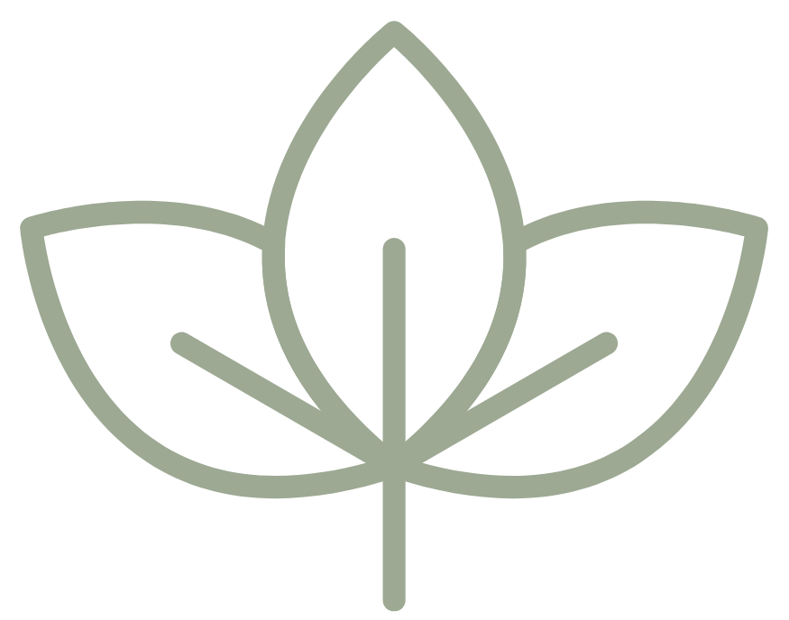 Affordable Therapy in Poole & Online for Young People & Adults | Wired Therapy