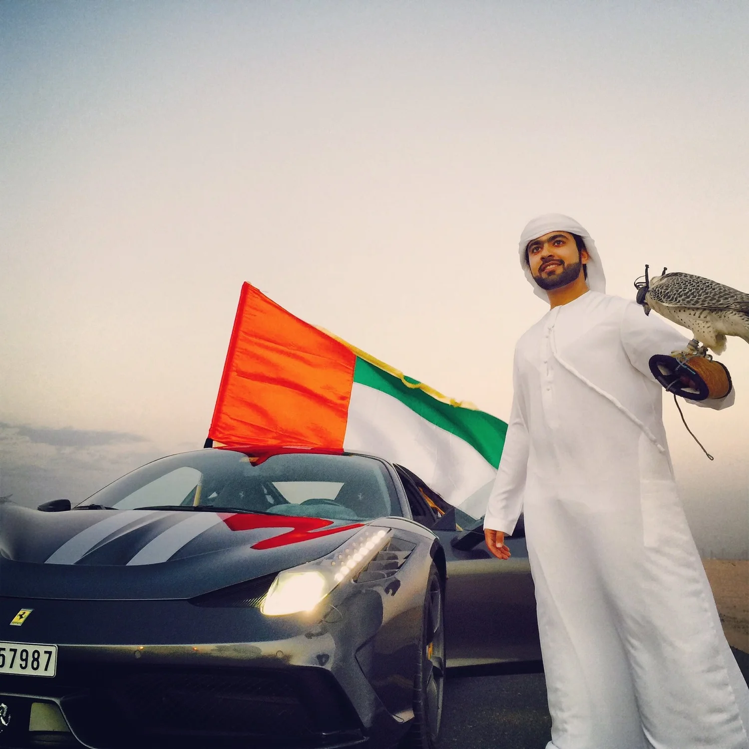 Brands — Diwan Videos