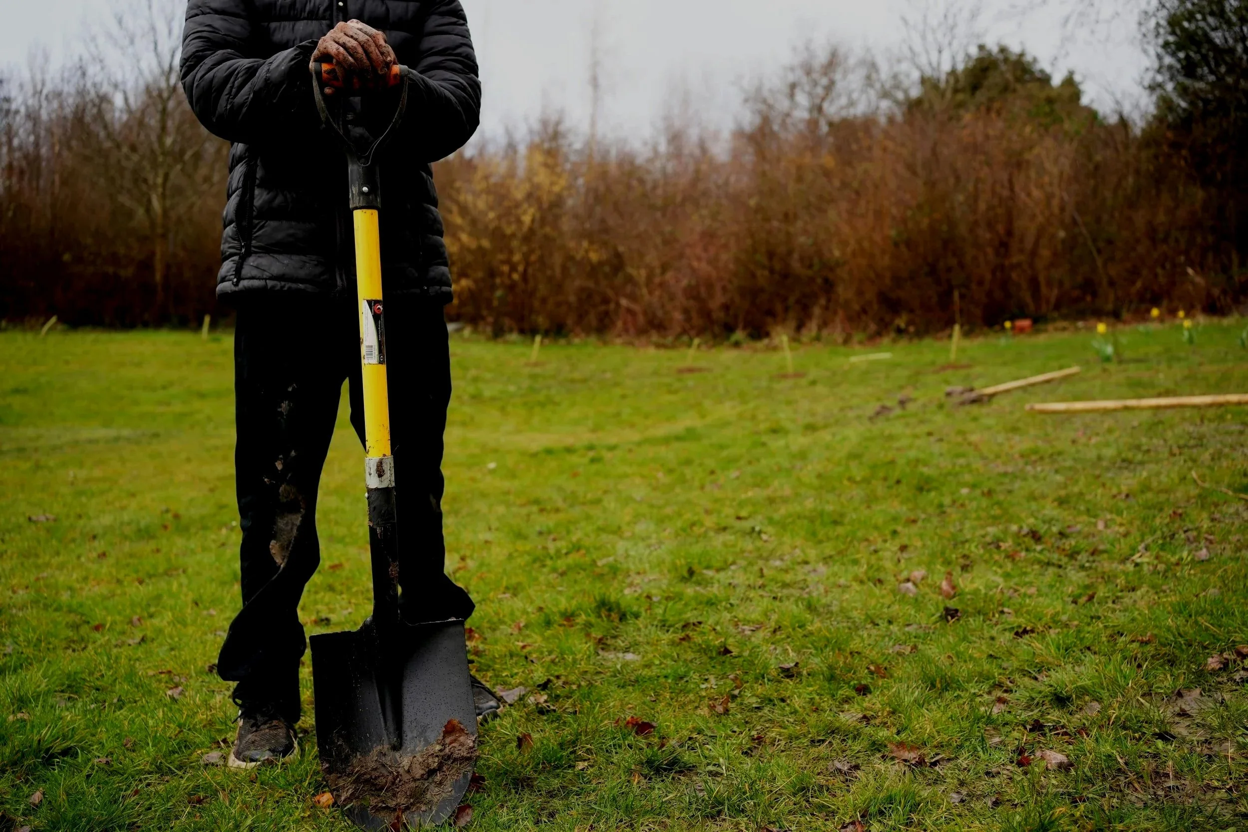 WildED: Nature Education for Schools and Youth Groups — Action for ...