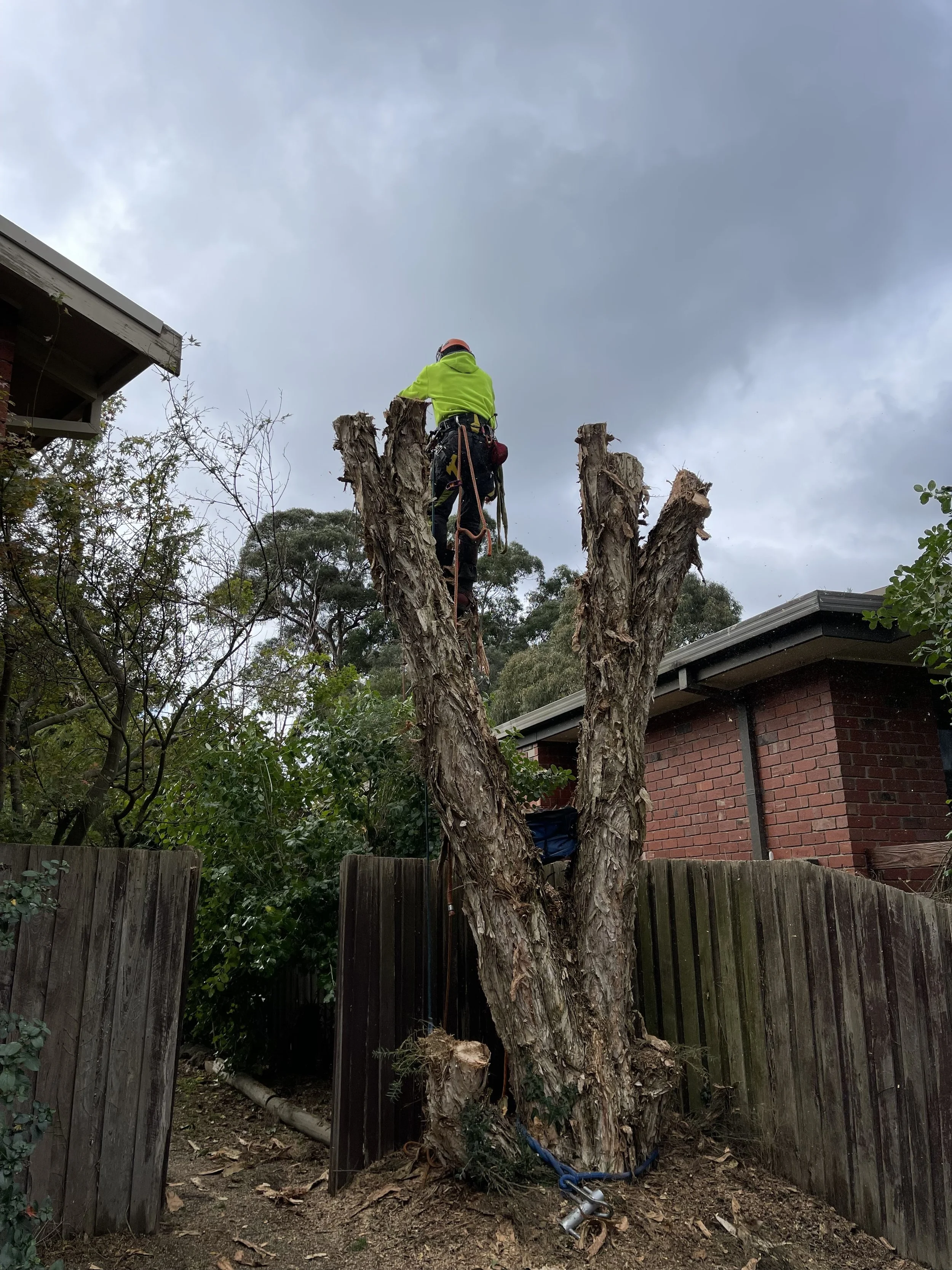 Services — Warton Tree & Garden Services