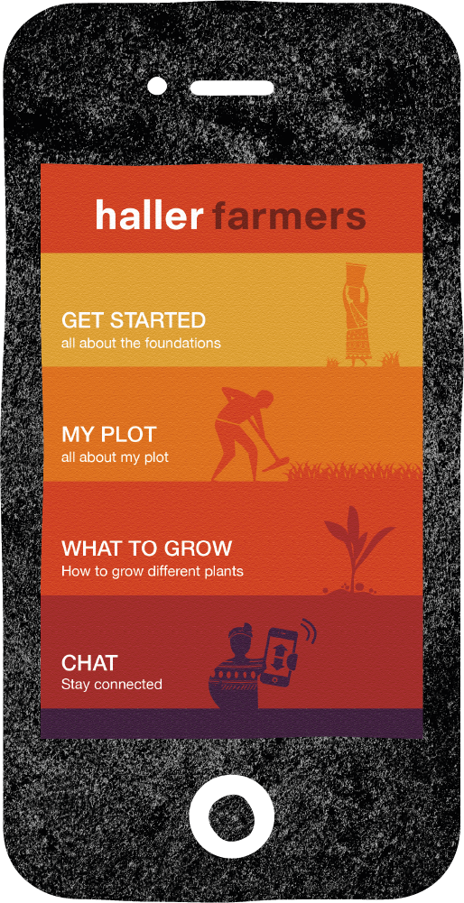 The Haller Foundation for Sustainable Change