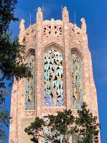 Best Places to See Azaleas and Camellias in Florida — Vacationing Vagabond