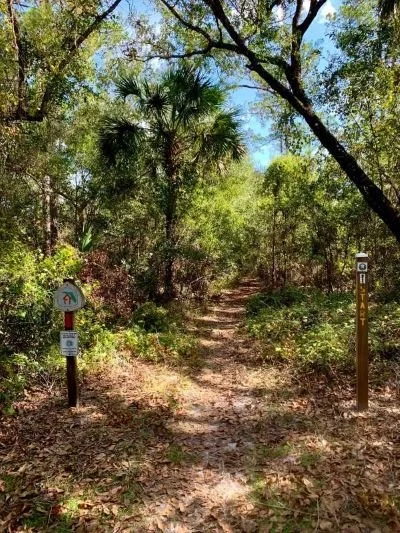 Understanding Hiking Trail Blaze Markers — Vacationing Vagabond